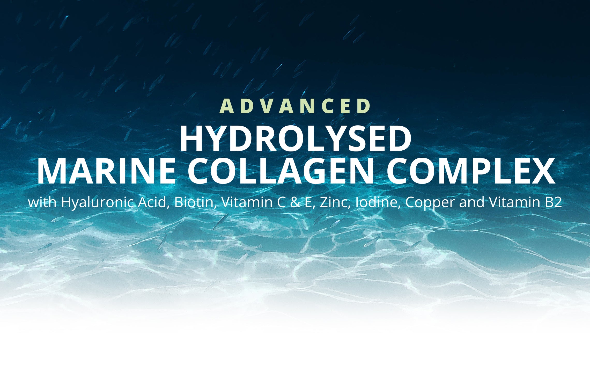 Marine Collagen Complex | 1000mg | 9 Powerful Nutrients | Advanced For – VitaBright