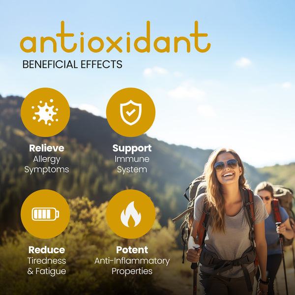 Quercetin Capsules – VitaBright