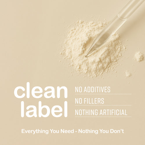 VitaBright NAC Supplement (N-Acetyl-Cysteine)