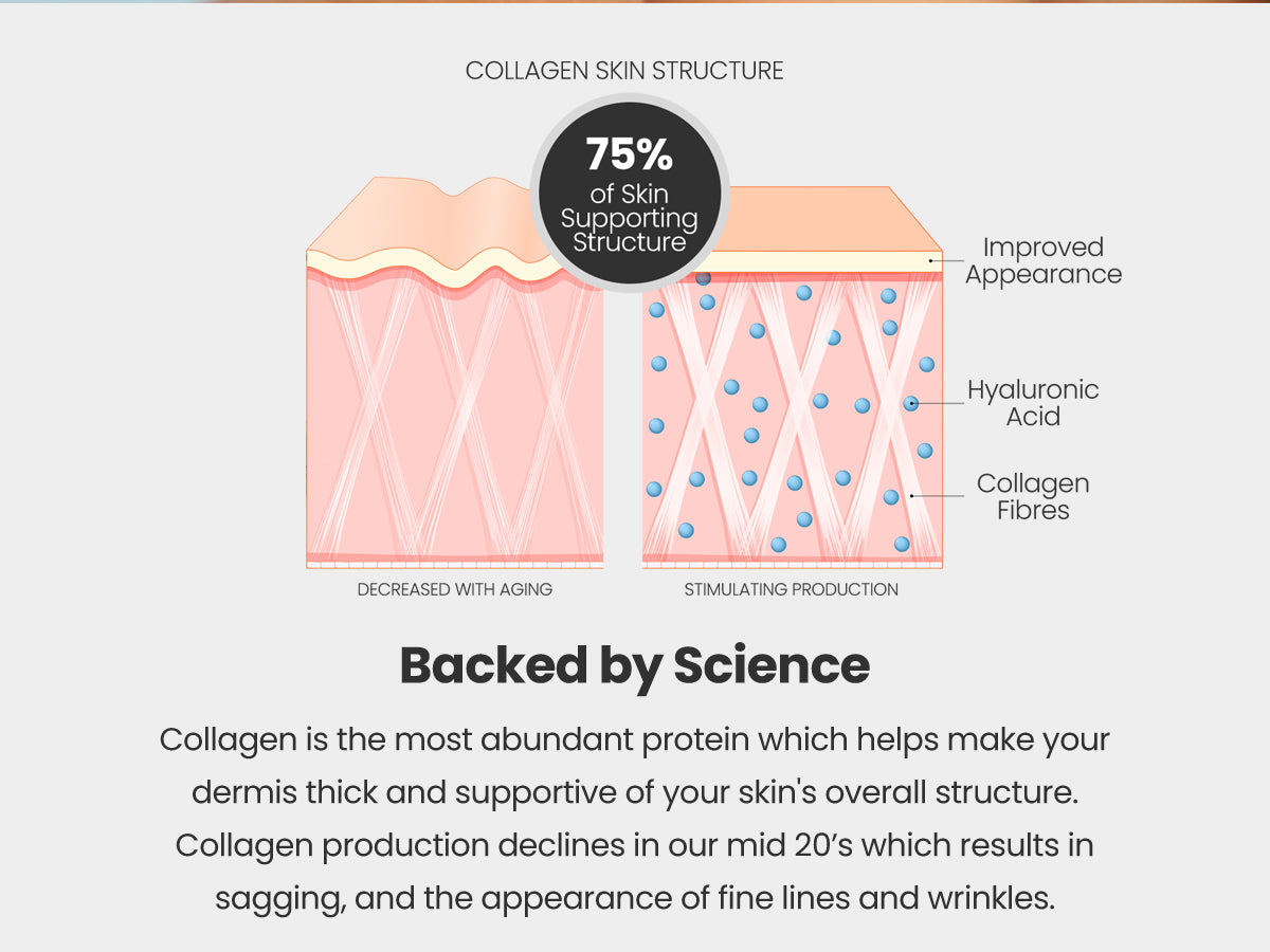 Marine Collagen Complex | 1165mg | 9 Powerful Nutrients | Advanced For – VitaBright