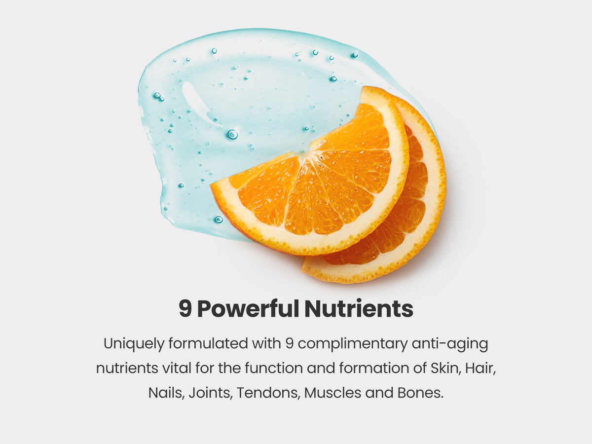 Marine Collagen Complex | 1165mg | 9 Powerful Nutrients | Advanced For – VitaBright